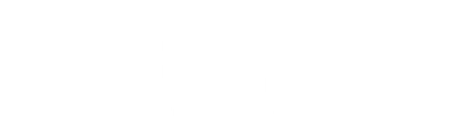 Exames Laboratoriais – Blut's